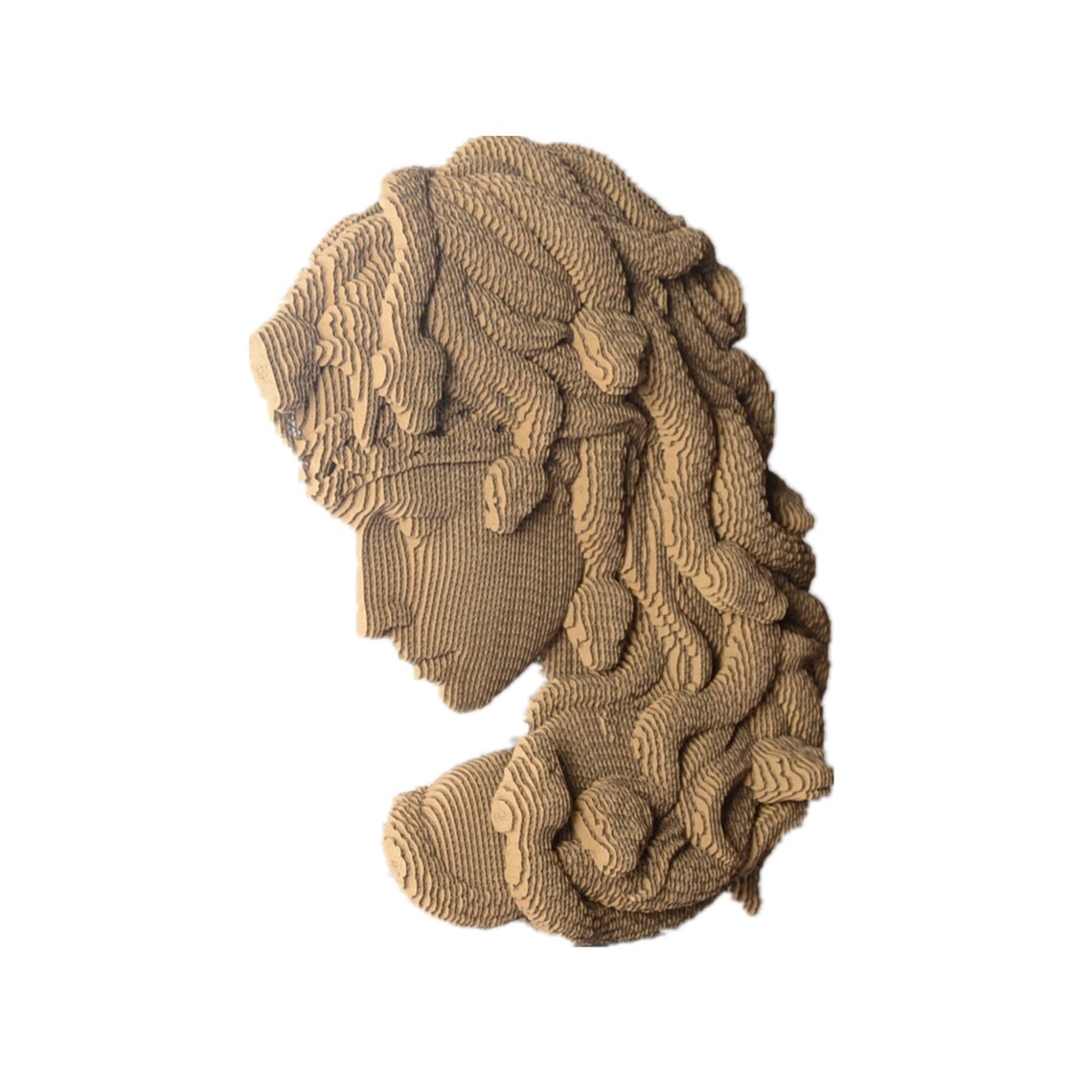 Medusa Bas Relief DIY Cardboard Culpture DIY Papercraft 3D | Etsy