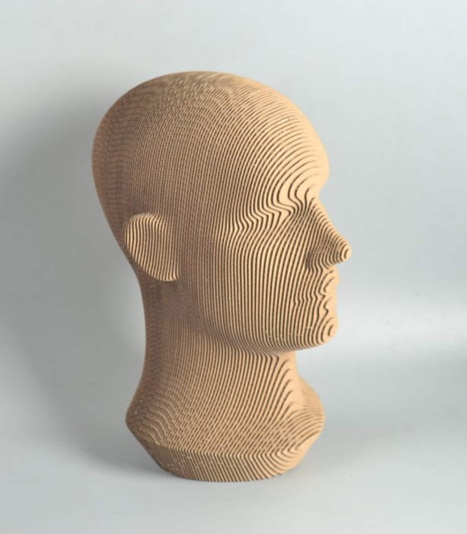 Human Head DIY Cardboard Sculpture DIY Papercraft 3D Paper - Etsy