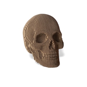 Small Size Human Skull Cardboard Sculpture, DIY 3D Papercraft Kit, 3D ...