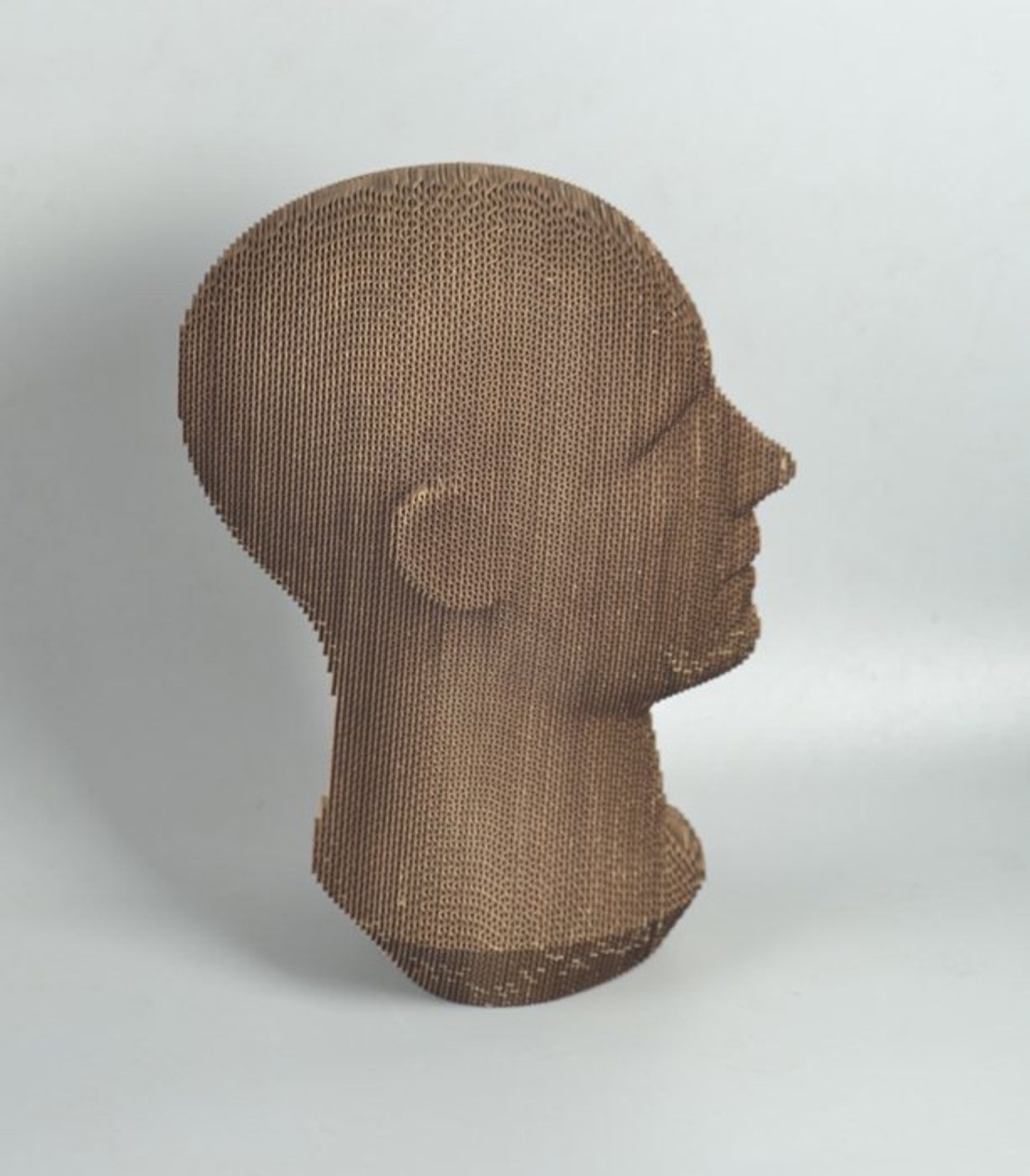 Human Head DIY Cardboard Sculpture DIY Papercraft 3D Paper - Etsy