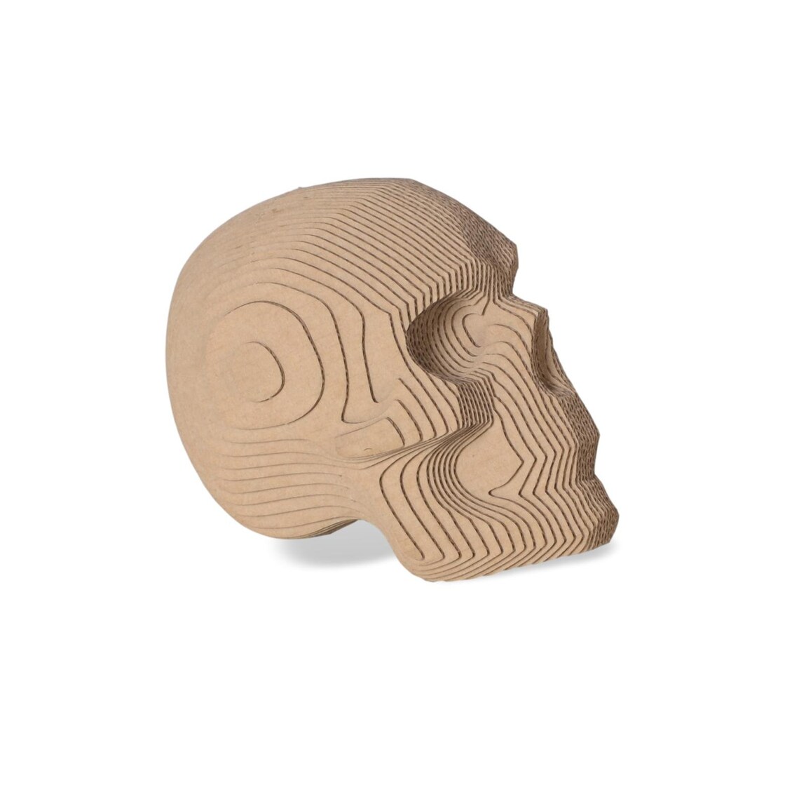 Small Size Styled Human Skull Cardboard Sculpture DIY Dragon | Etsy