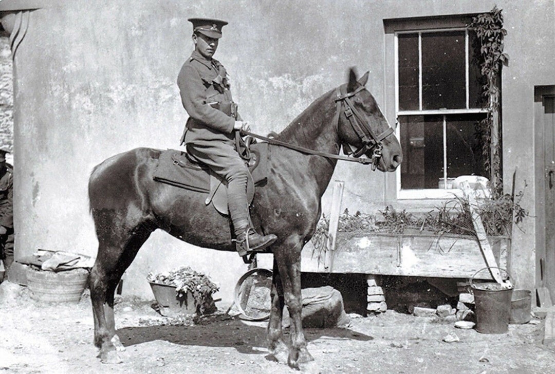 WW1 Reproduction Postcard, Mounted Soldier C1916, World War 1, Horse ...