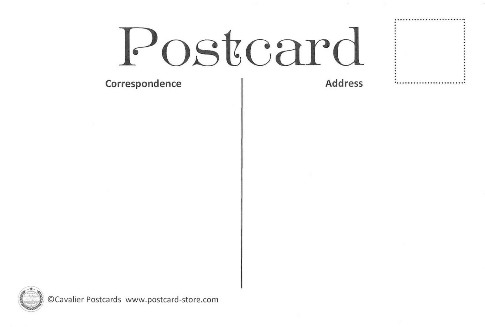 NEW Postcard European Cartoon Character Map Europe LP9 | Etsy