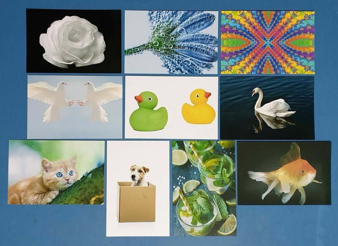 50 NEW Mixed Set of Postcards 10 Designs Postcrossing ...
