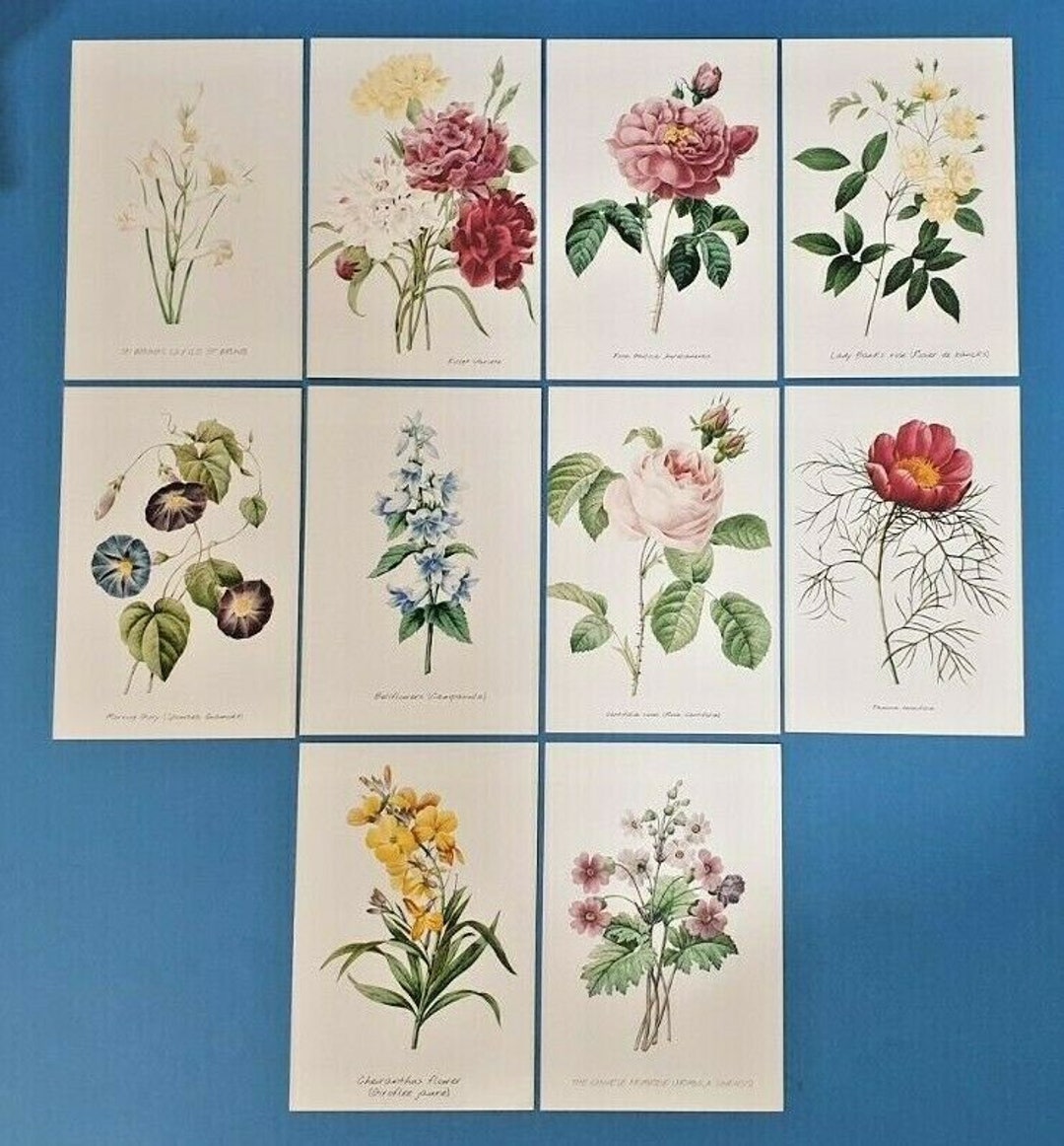Set of 10 NEW Flowers Postcards (set 3) for Postcrossing ...