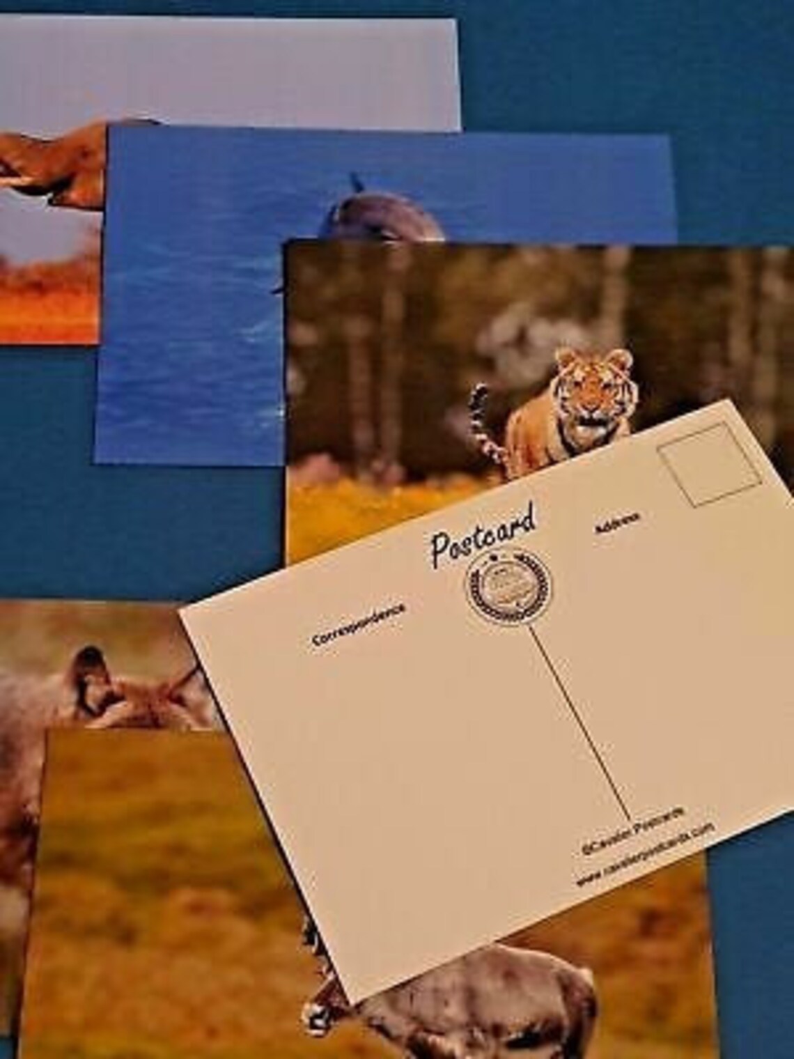Set of 18 NEW Animal Wildlife Postcards Wild Animals - Etsy