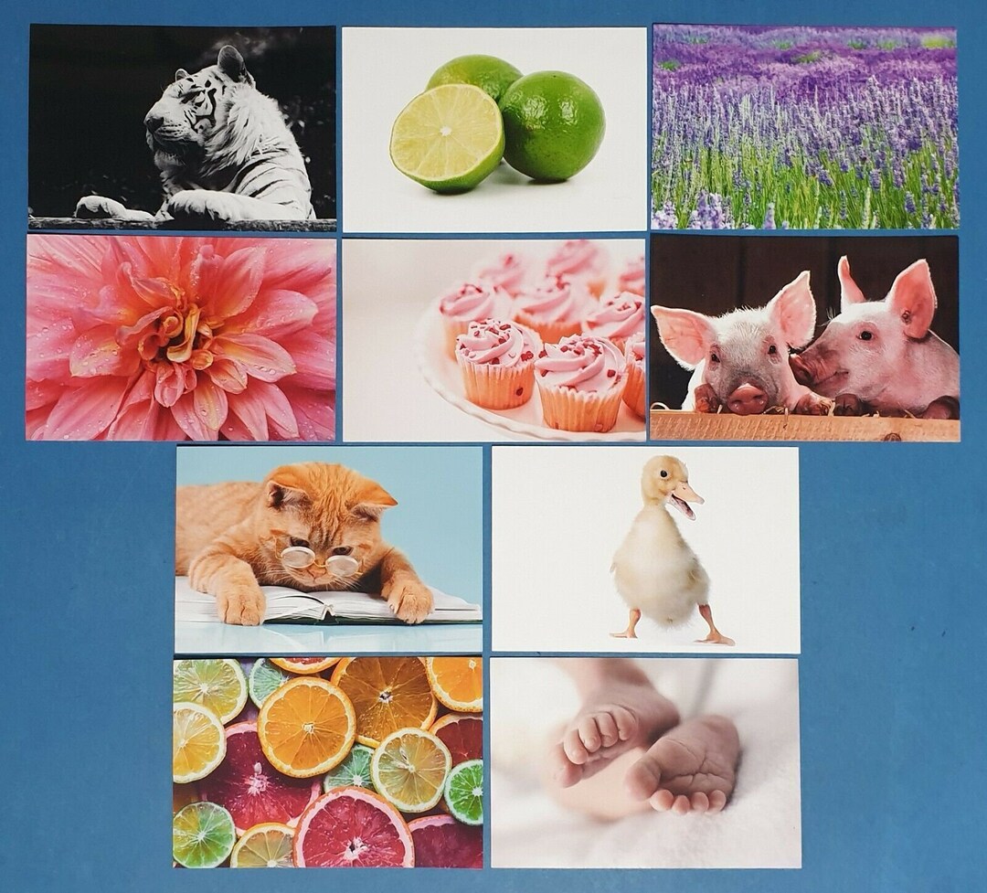 50 NEW Mixed Set of Postcards 10 Designs Postcrossing ...