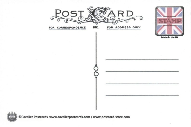 NEW Fun Postcard Chengdu China by Night Graphic Black & - Etsy