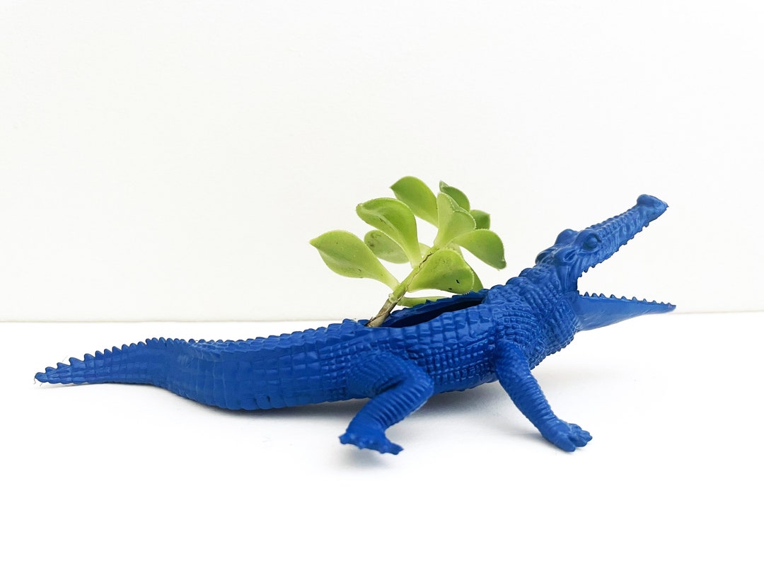 Blue Crocodile Planter / Aussie Crocodile Planter / Home Storage Décor ...