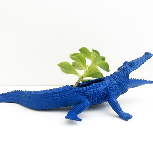 Alligator Planter - Etsy