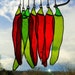 Stained Glass GREEN Chilli Pepper Suncatcher, Green Glass, Chilli Lover ...