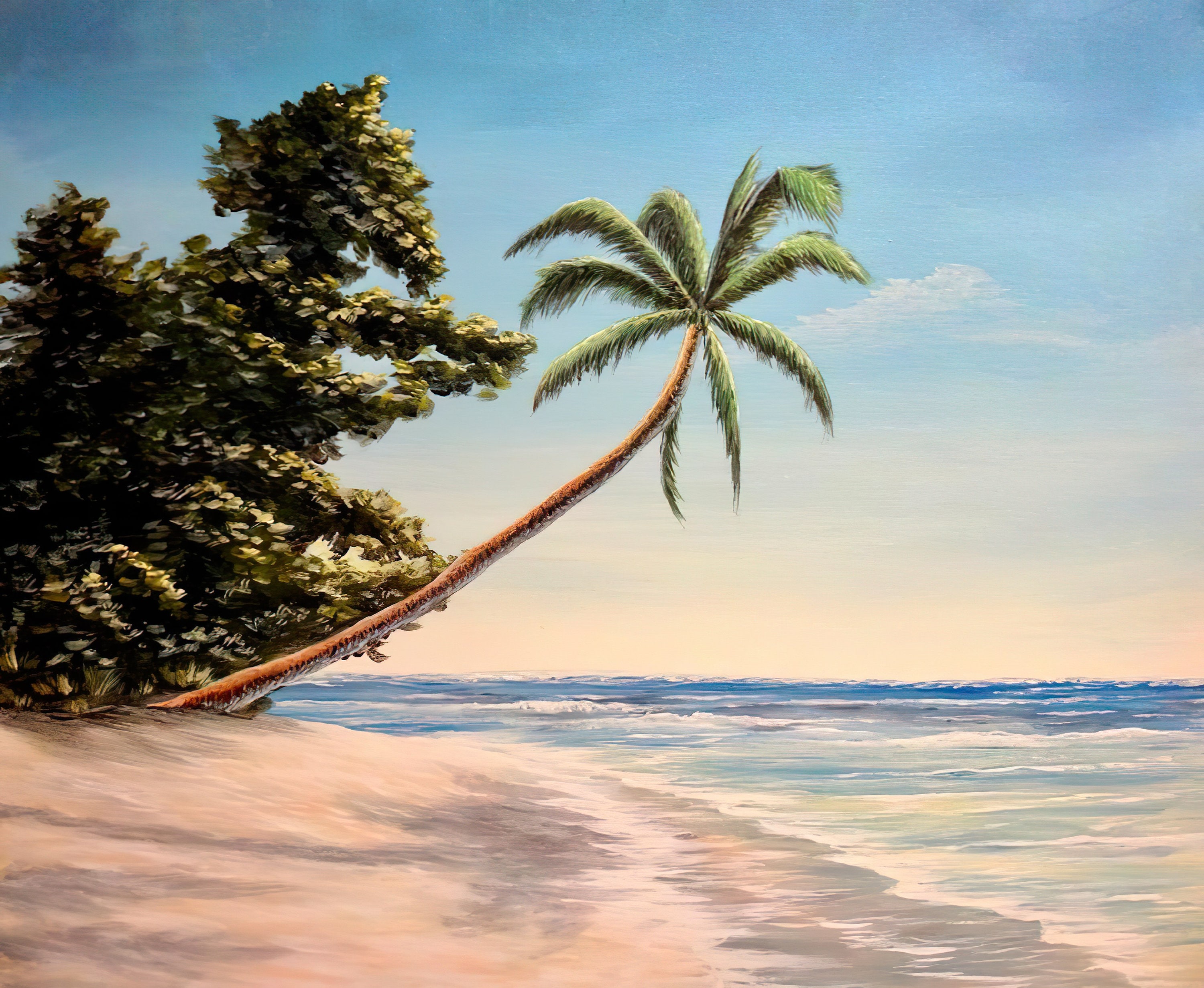 Hawaiian Palm Tree Drawings