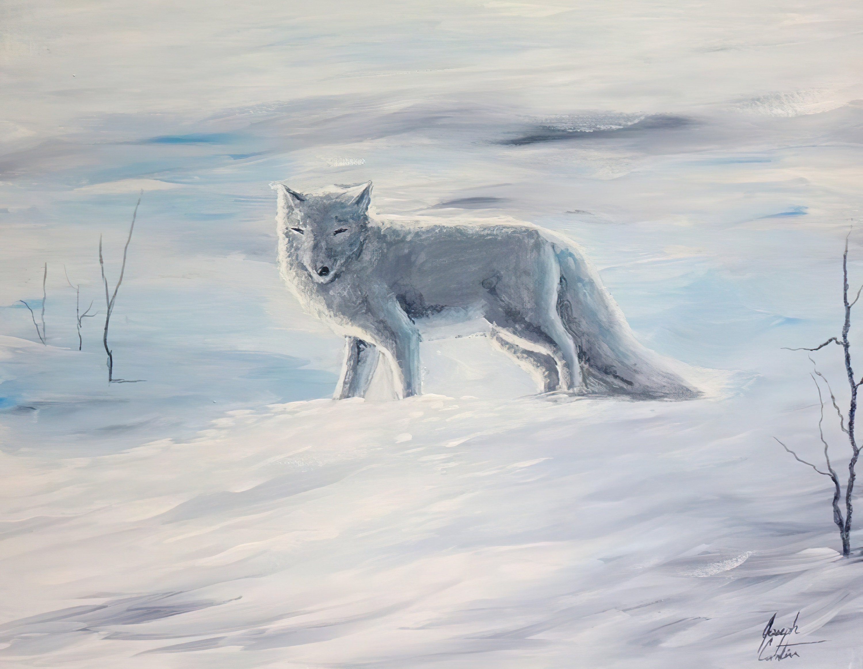 Arctic Fox Painting