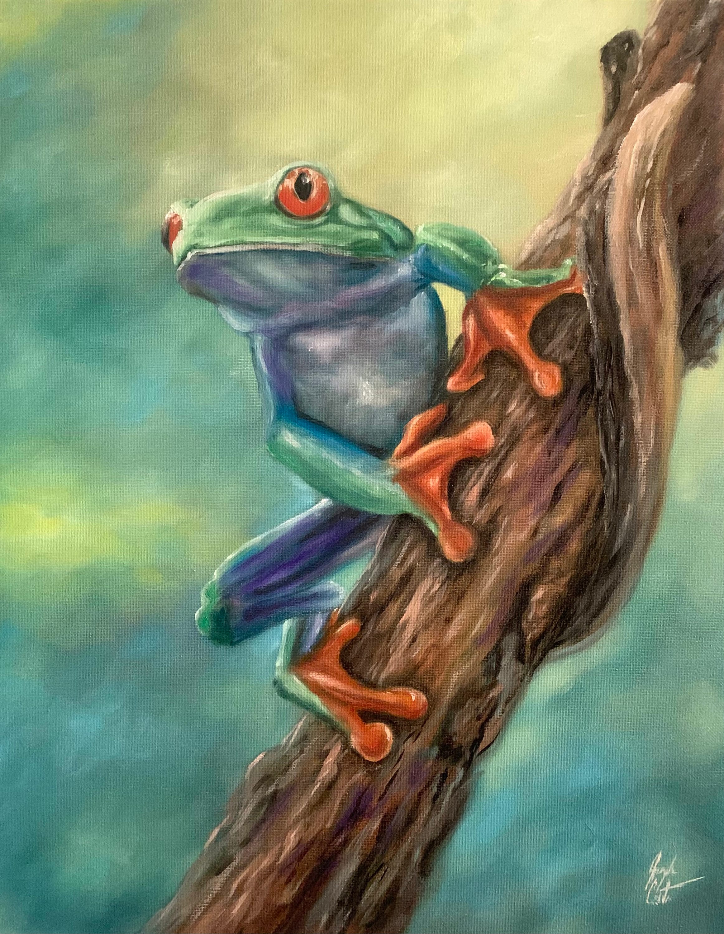 Rainforest Tree Frog
