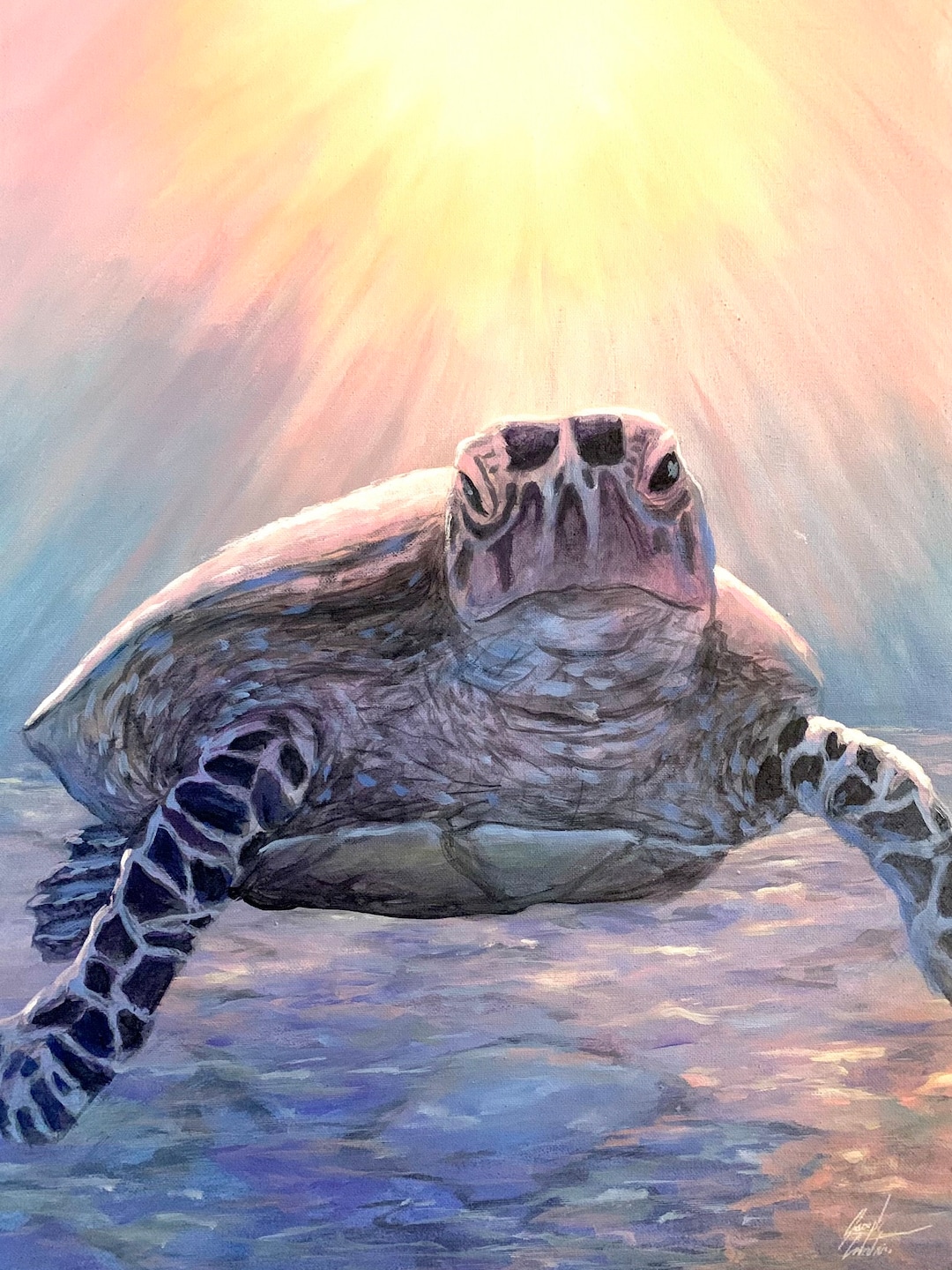 Sea Turtle, Sea Turtle Art, Sea Turtle Painting, Coral Reef, Coral Reef ...
