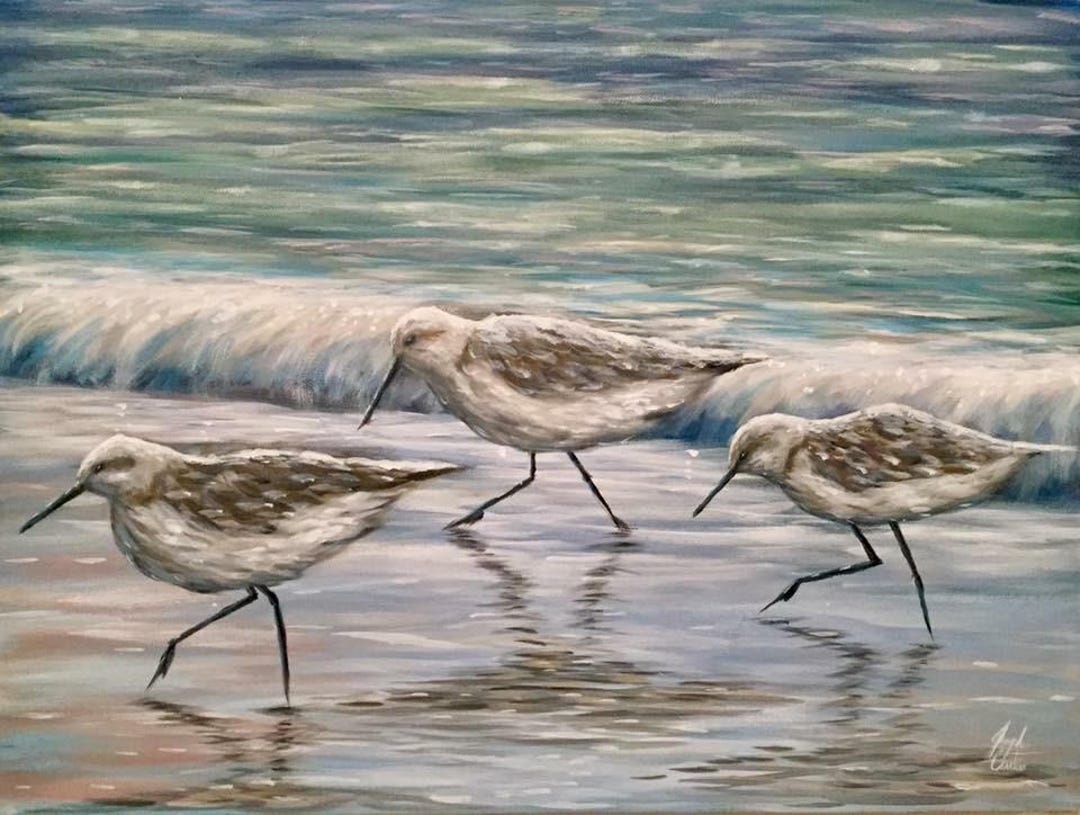 Sandpiper, Sandpipers, Beach Art, Beach Decor, Beach, Shoreline, Birds ...