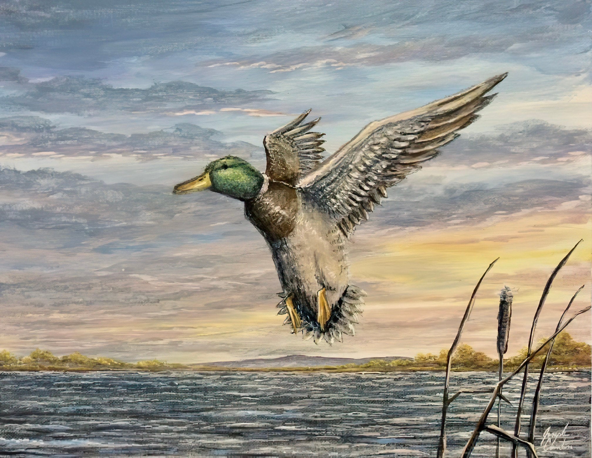 Wood Duck, Duck, Duck Art, Duck Painting, Duck Decor, Acrylic Duck ...