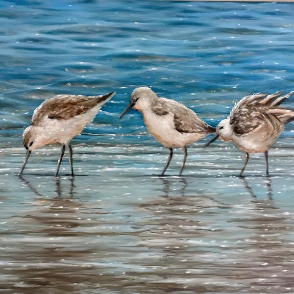 Sandpiper Painting - Etsy