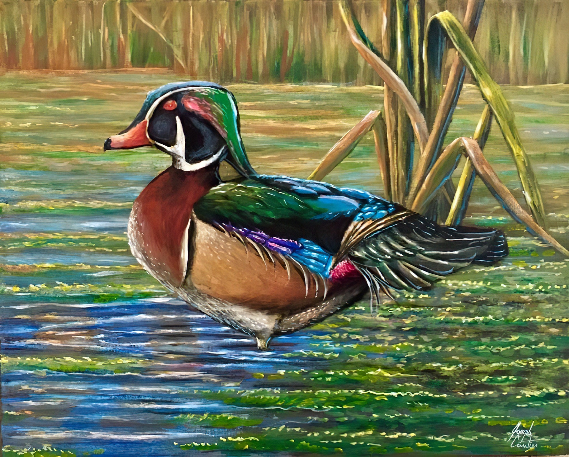 Wood Duck, Duck, Duck Art, Duck Painting, Duck Decor, Acrylic Duck ...
