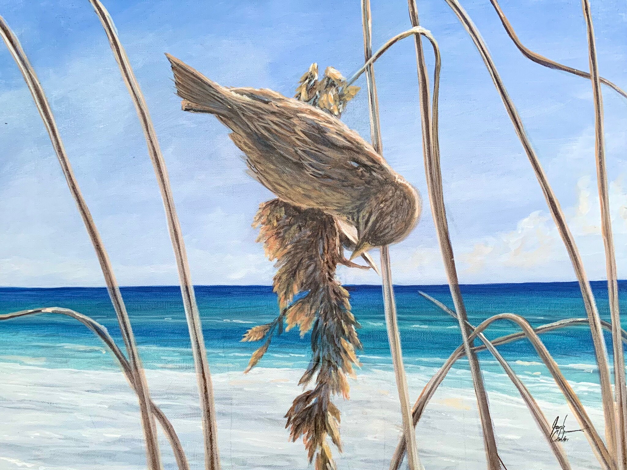 Sandpipers Running on the Beach, Sandpipers, Sandpiper, Sandpiper Art ...