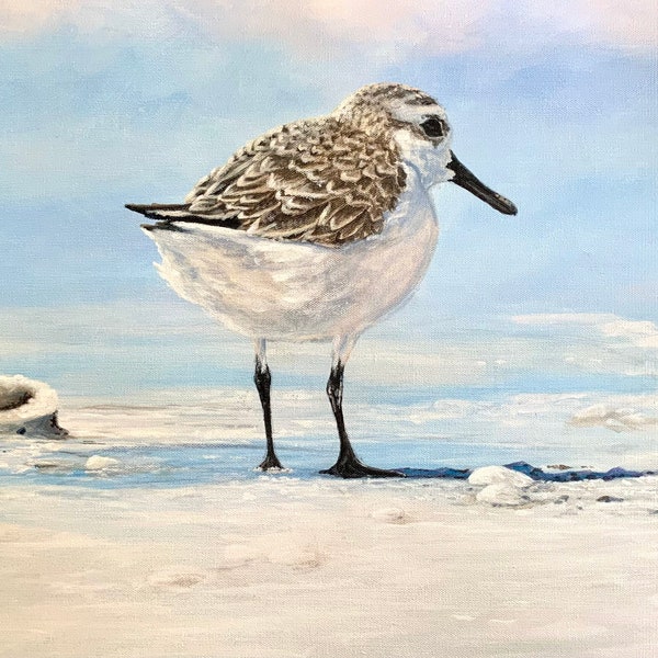 Sandpiper Art - Etsy