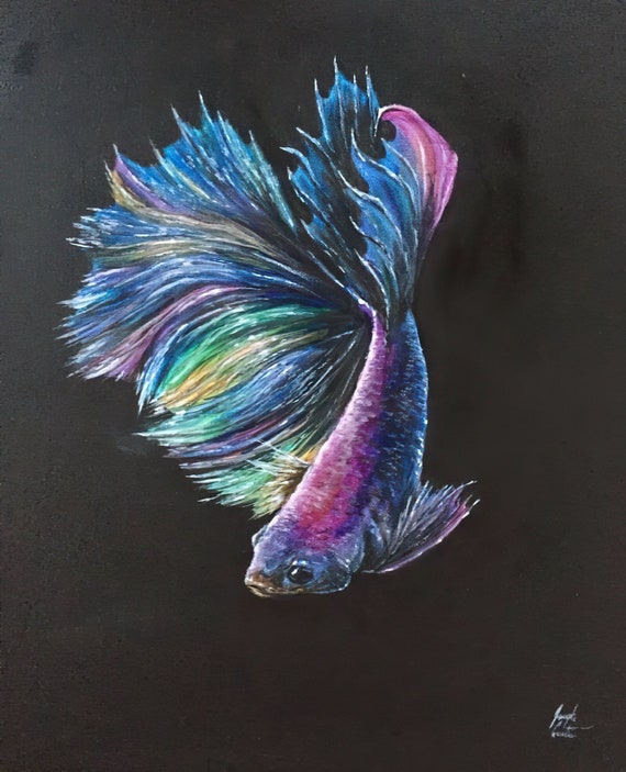 Fighting Fish Drawing