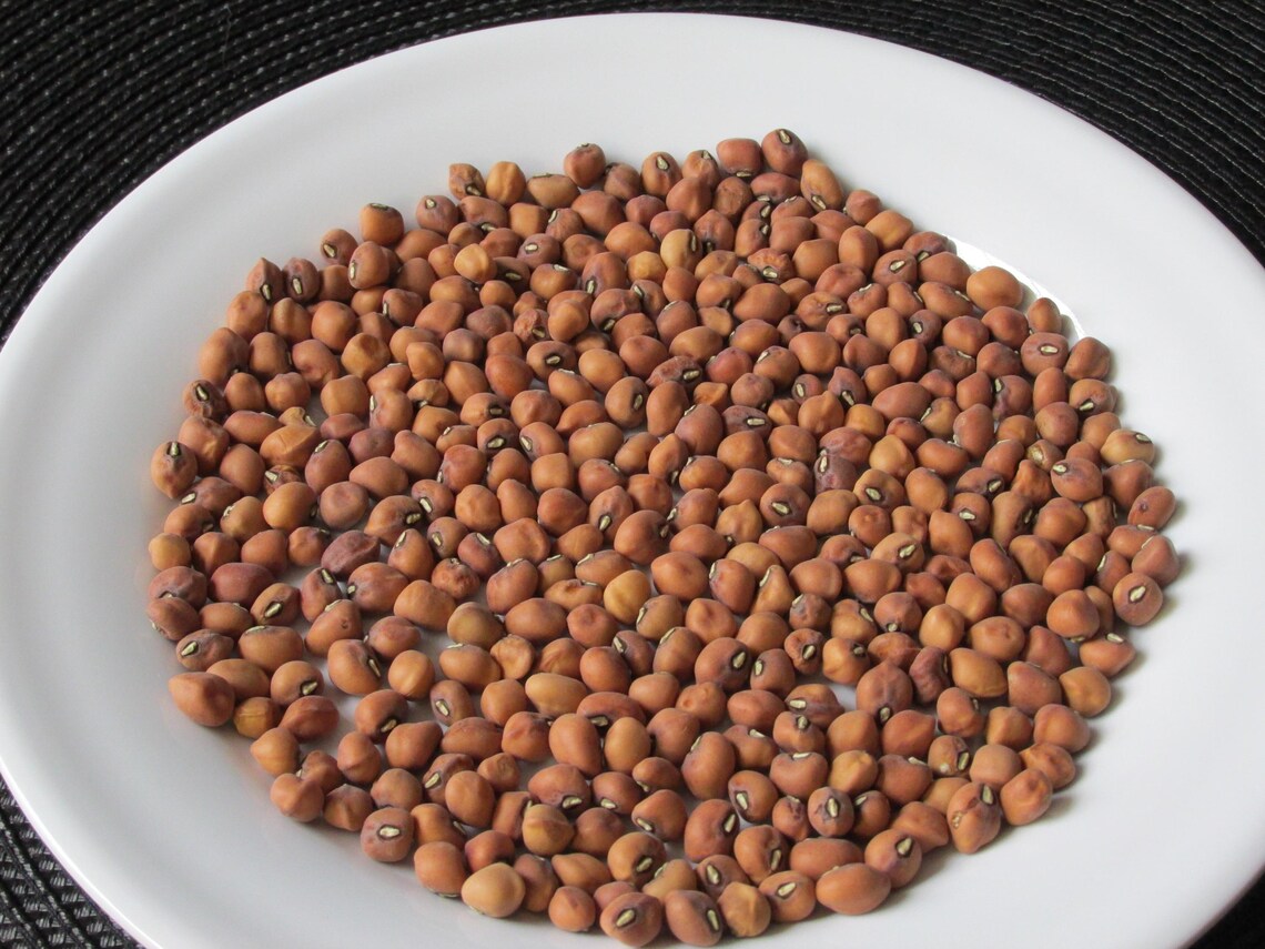 Mississippi Silver Crowder Pea - Heirloom - Southern Pea - 100 Seeds ...