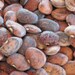 JACKSON WONDER Lima Bean - Heirloom - Southern Favorite, Pkt 50 Seeds ...