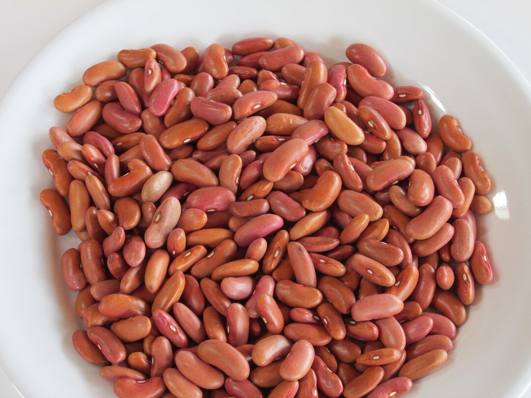 HARICOT ROUGE CLAIR Haricot patrimonial Pkt. 100 graines - Etsy France