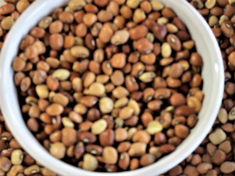 DIXIE LEE BROWN Crowder Pea - Heirloom Pea - Pkt. 50 Seeds - Etsy