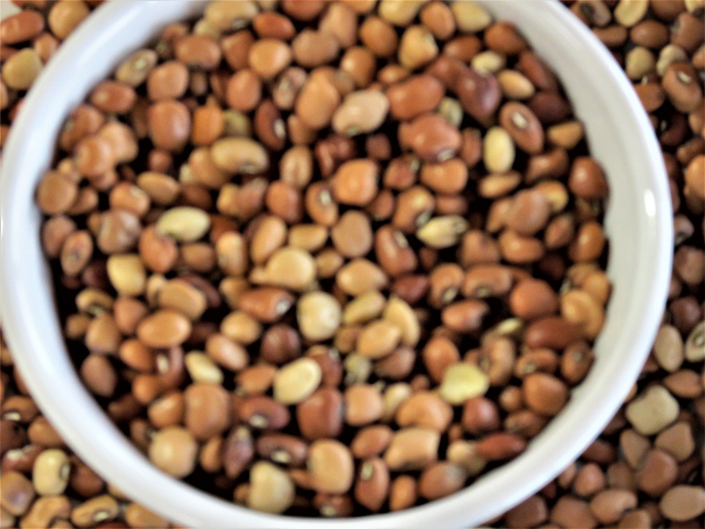 DIXIE LEE BROWN Crowder Pea - Heirloom Pea - Pkt. 50 Seeds - Etsy