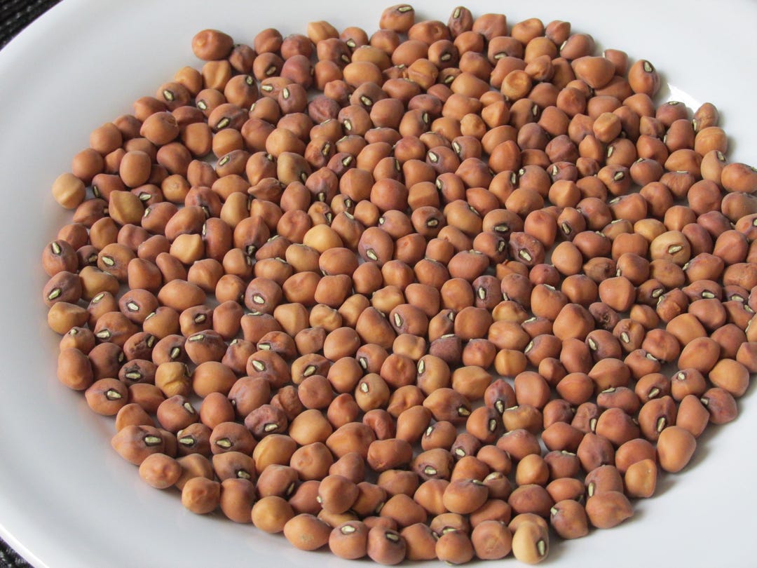 Mississippi Silver Crowder Pea - Heirloom - Southern Pea - 100 Seeds ...