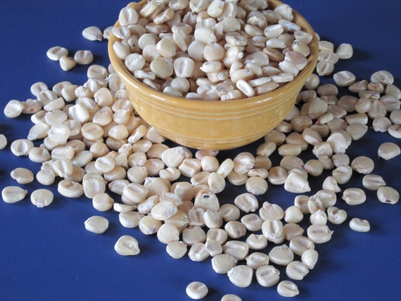 HICKORY KING CORN Old Time Southern Favorite Heirloom | Etsy