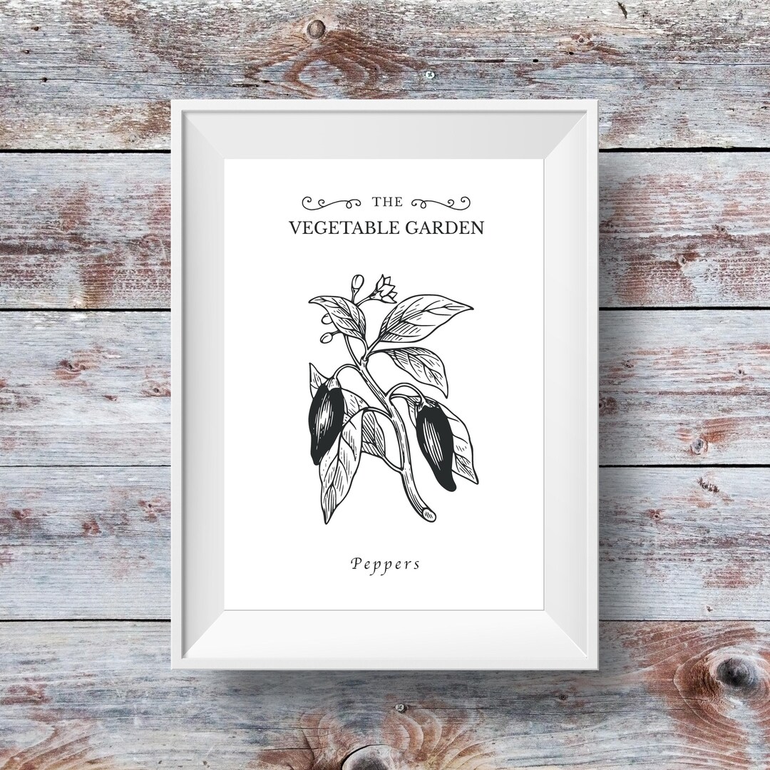 Vegetable Garden Print, Peppers Print, Garden Art, Farm Print ...