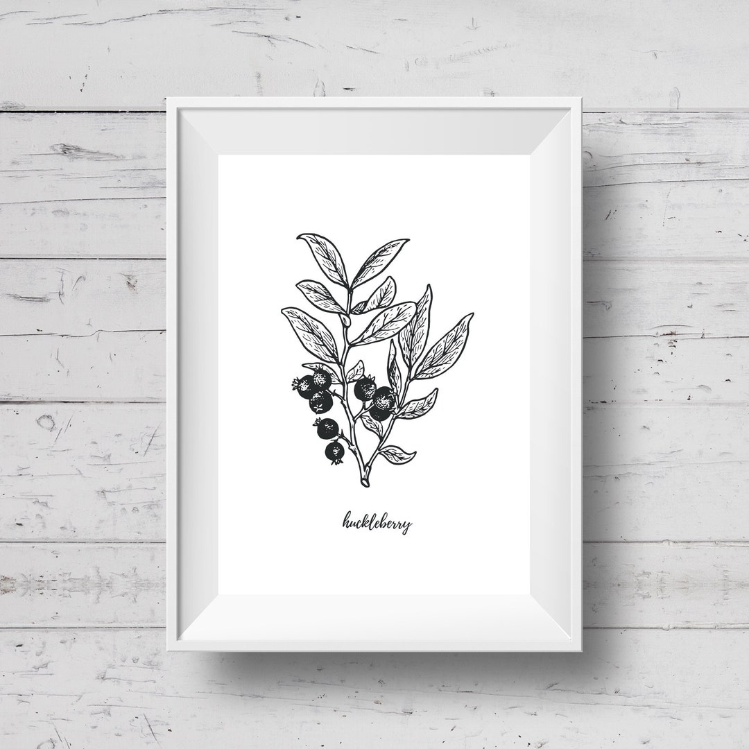Huckleberry Print, Flower Print, Flower Art, Floral Print, Farm Print ...