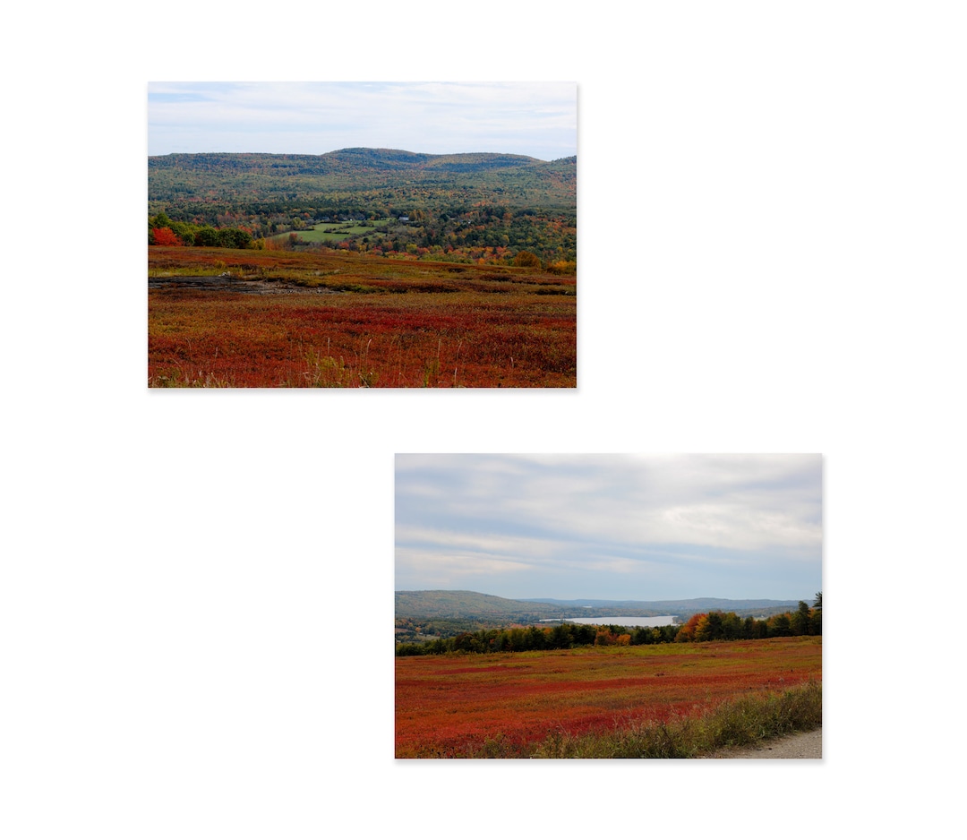 Appleton Ridge, Blueberry Barrens (2 Photo Package) - Printable Wall ...