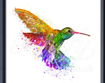Hummingbird Poster | Etsy