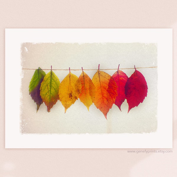 Fall Wall Art - Etsy