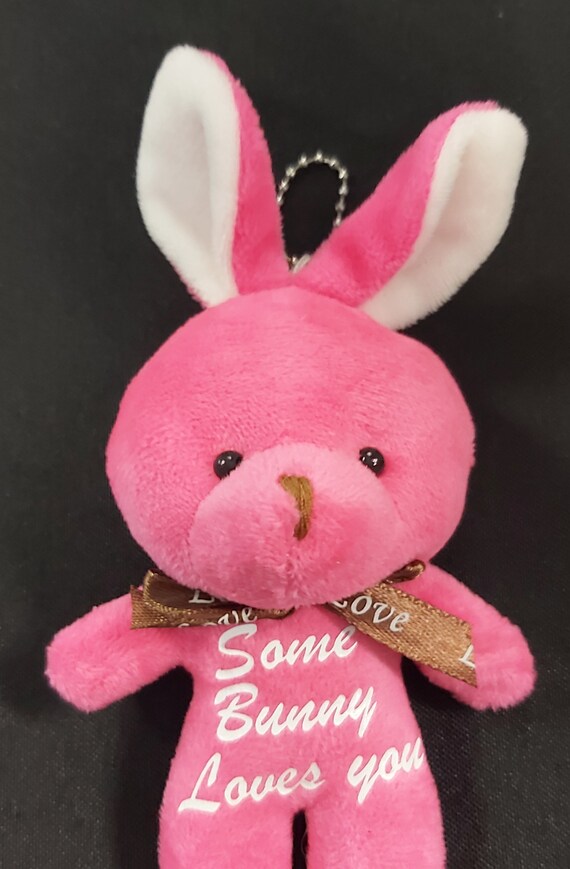 Super Cute Bunny Rabbit