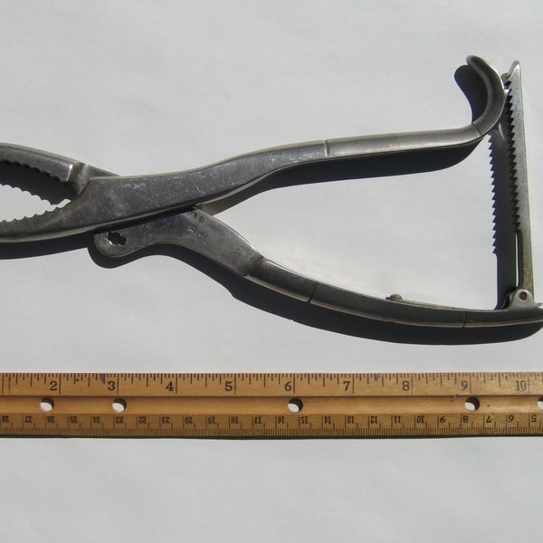 Antique Forceps - Etsy
