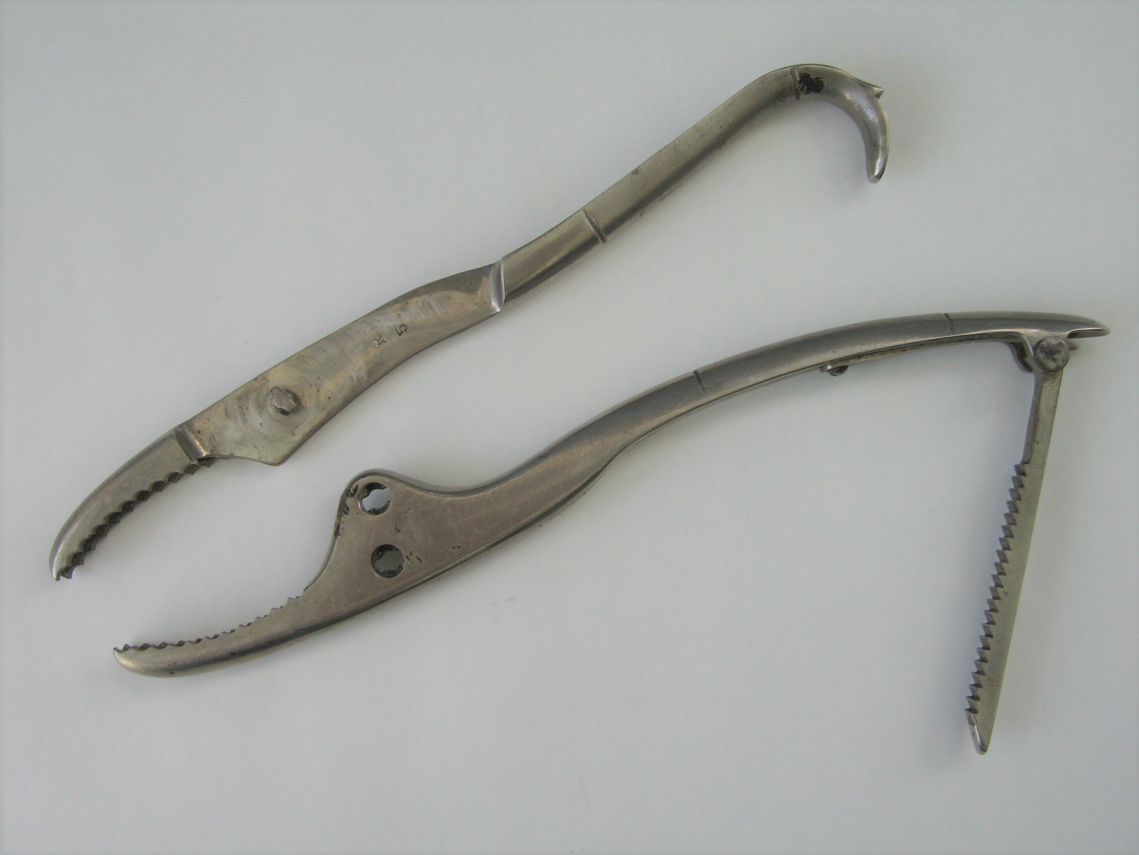 Old Antique Vintage Toothed Bone Pliers Locking Forceps Orthopedic ...