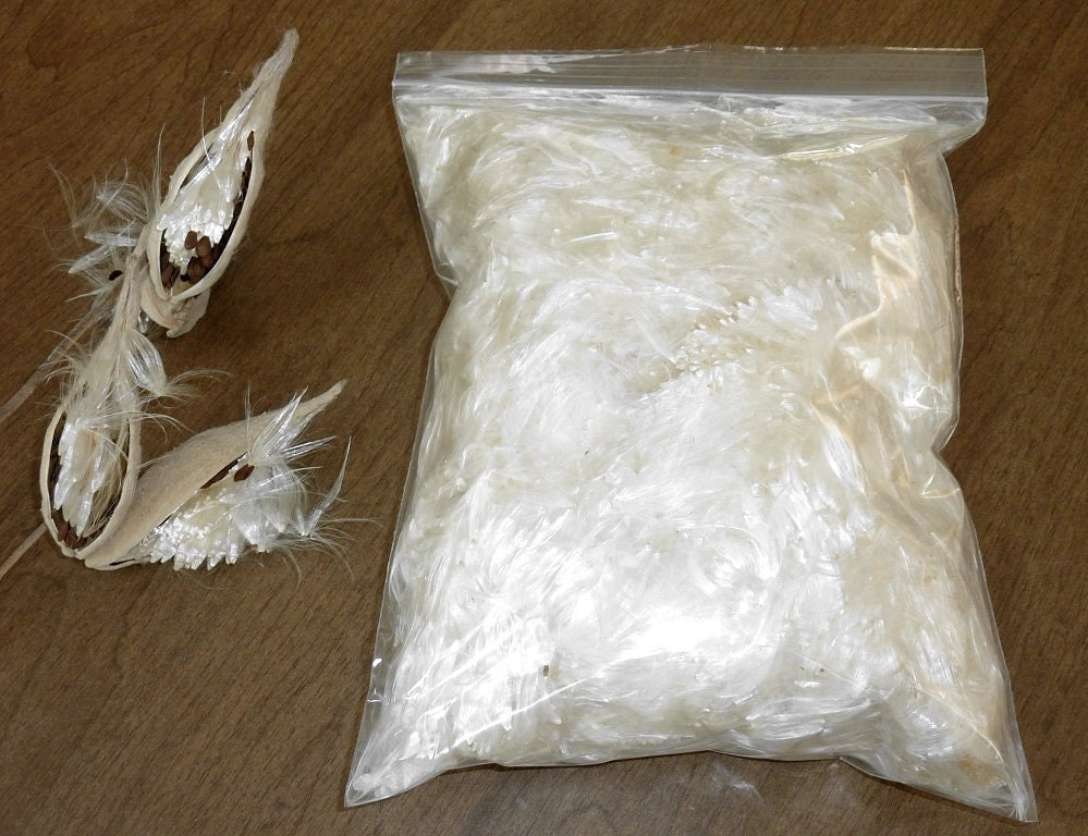 Milkweed Floss 1+ OZ Fluff Deseeded No Seeds Organic - Etsy