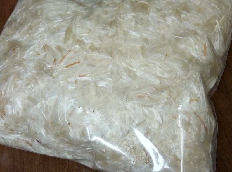 Milkweed Floss 1+ OZ Fluff Deseeded No Seeds Organic - Etsy