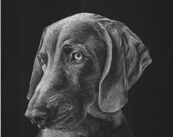 Scratchboard Art - Etsy