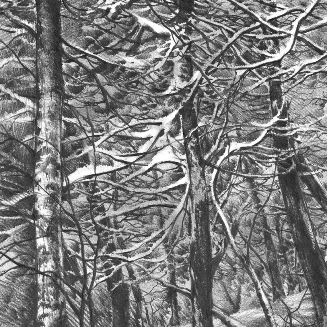 Winter Drawing Art Print Winter Landscape Pencil Drawing - Etsy