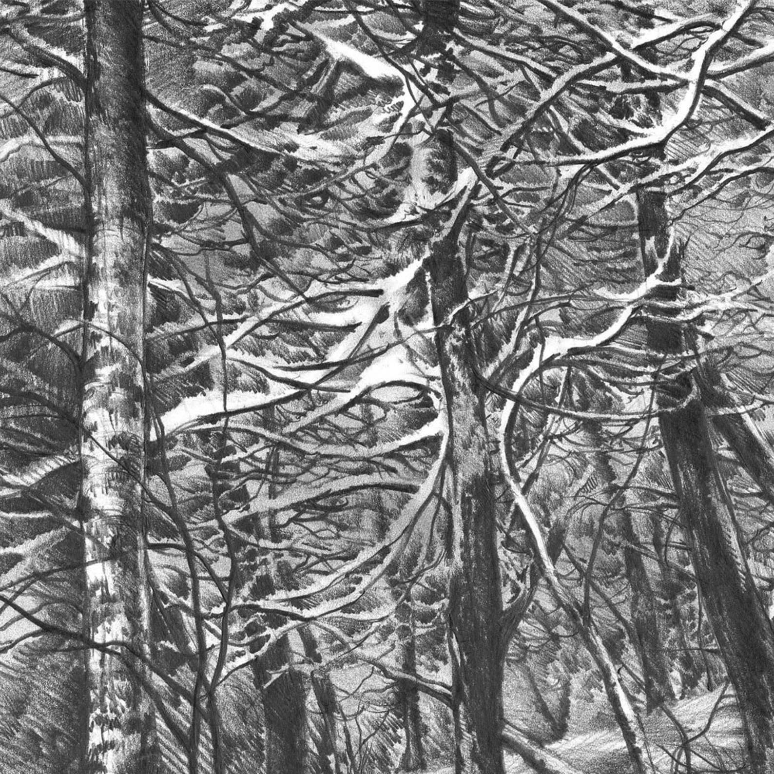 Winter Drawing Art Print Winter Landscape Pencil Drawing Winter Trees ...