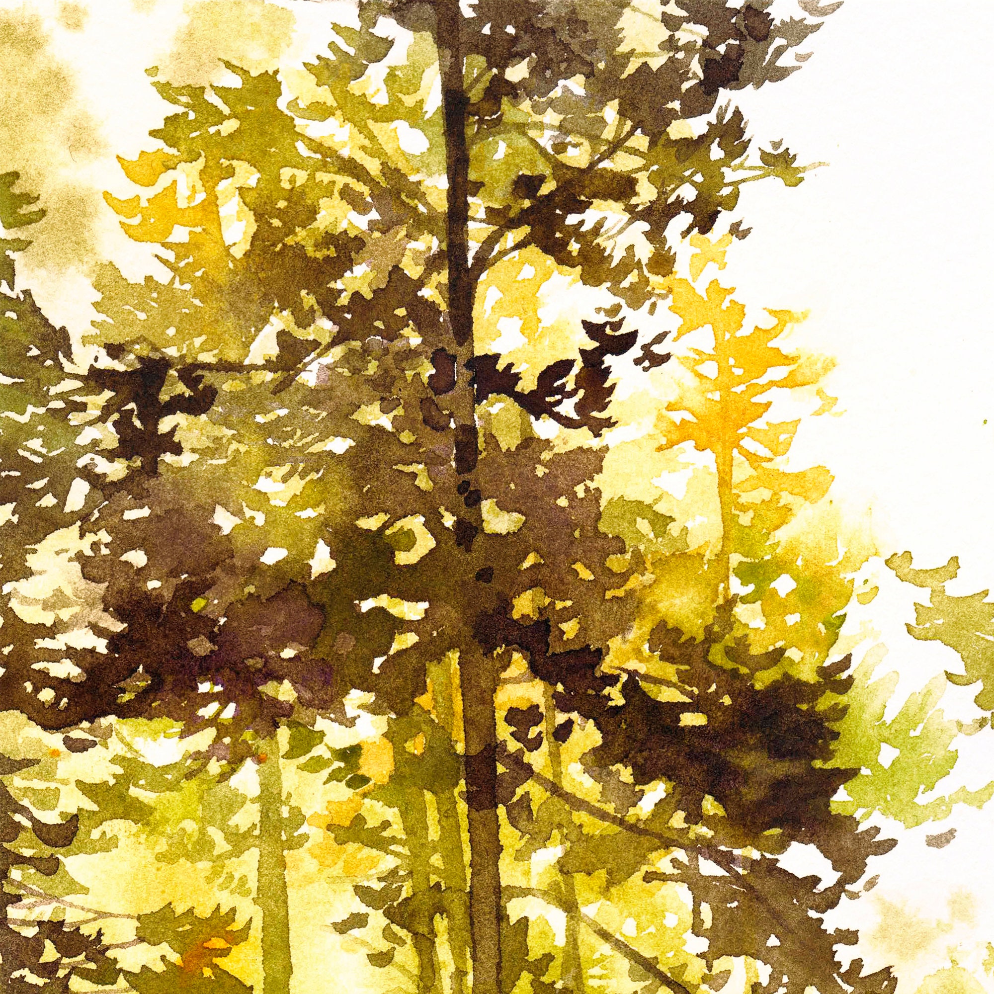 Art Print of a Watercolor Painting Tree Art, Watercolor Print, Wall Art ...