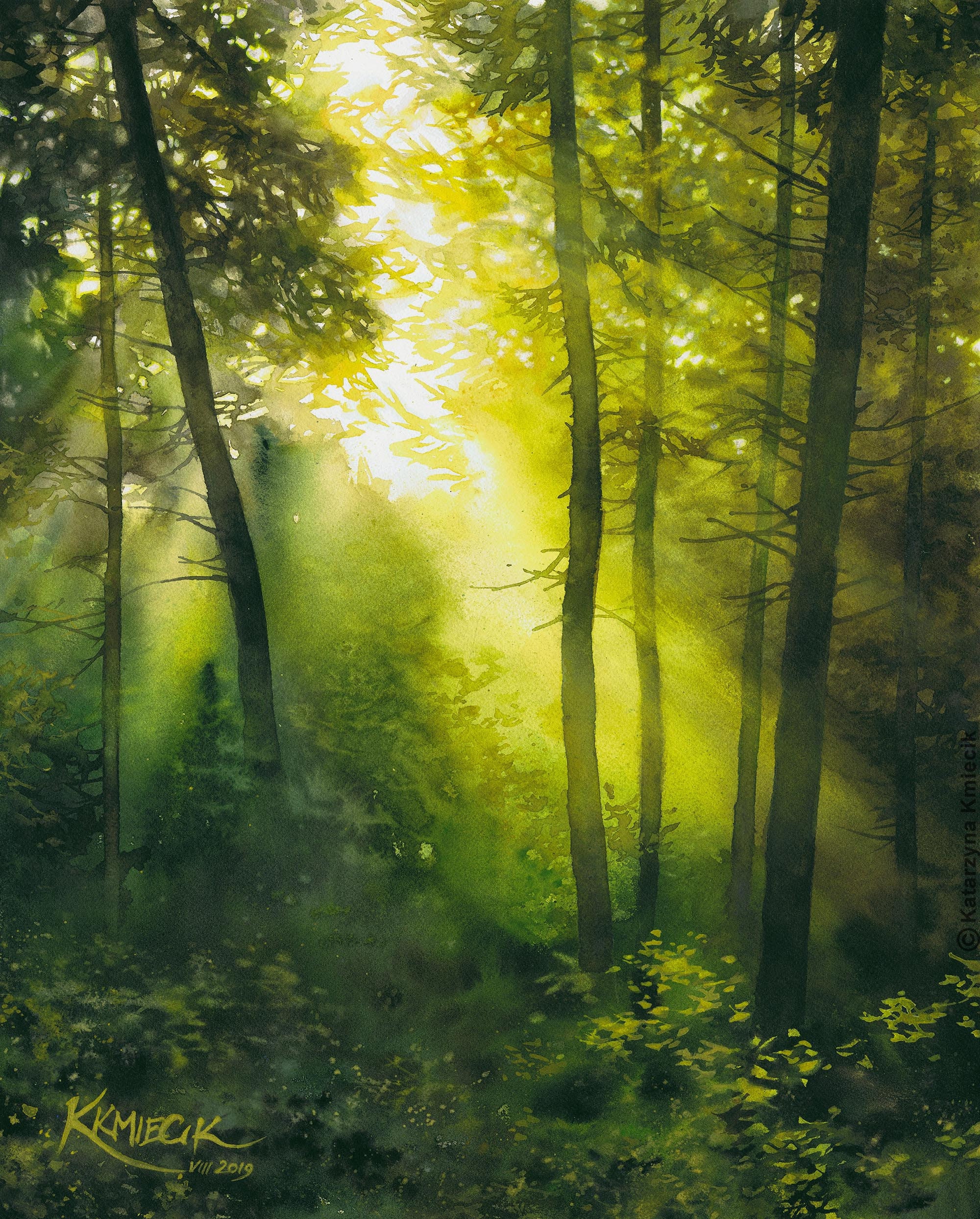 Woodland Watercolor Painting Watercolour Dark Forest Wall | Etsy