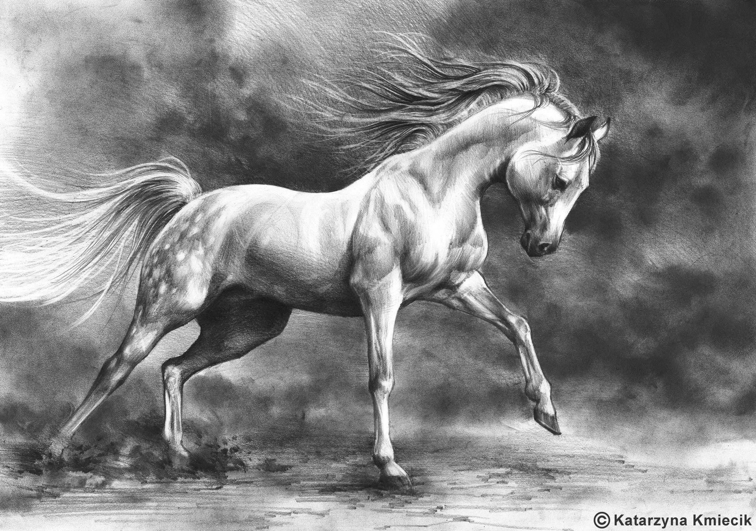 Pencil Drawing Of Running Horse