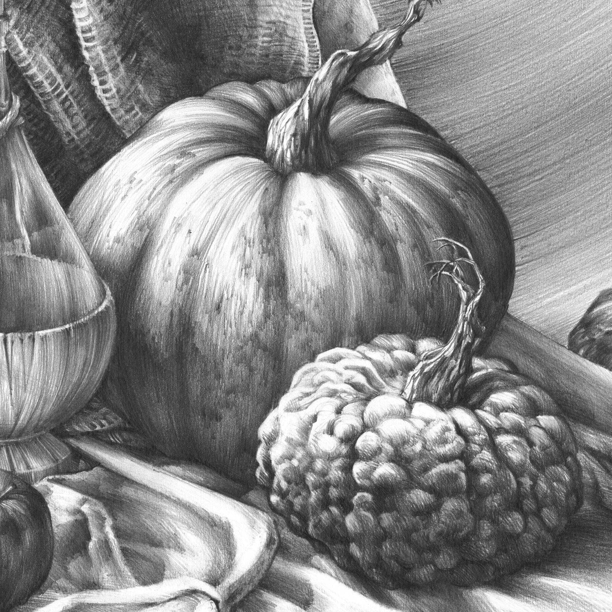 Pumpkin Pencil Drawing